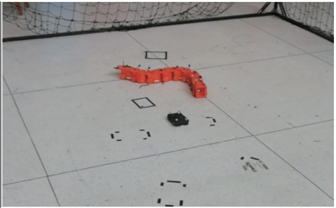 Any Curve Path Following of Snake-like Robots | Wei Zhu
